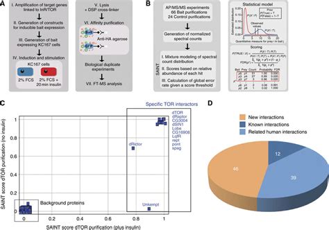 Overview On The Experimental Workflow And Data Processing A Download Scientific Diagram