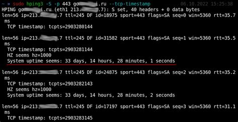 Kung Fu Enumeration Data Collection In Attacked Systems Hackmag
