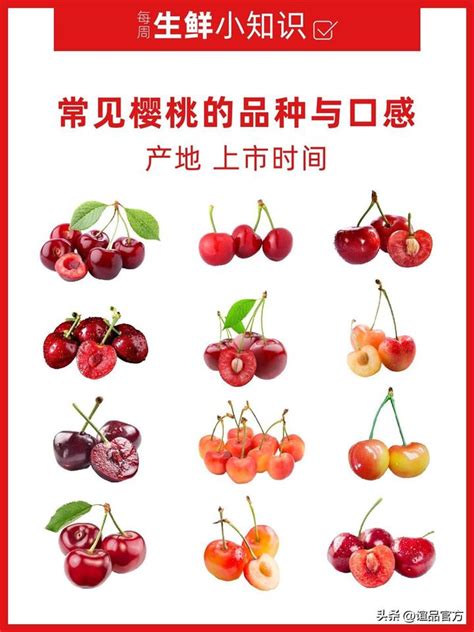 常見櫻桃的品種與口感