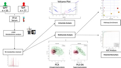 Study Design And Data Analysis Workflow Download Scientific Diagram