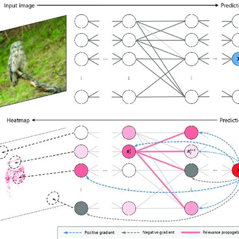 pdf explaining cnn and rnn using selective layer wise relevance propagation