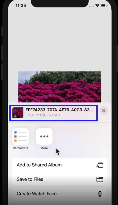 Sharing Is It Possible To Control The Displayed Thumbnail File Name