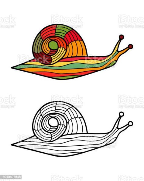 다채로운 달팽이 그리고 달팽이 색칠에 대 한 흑인과 백인 낙서 스타일 패턴 갈색에 대한 스톡 벡터 아트 및 기타 이미지 갈색 검은색 그리기 Istock