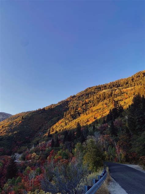 Mt Timp