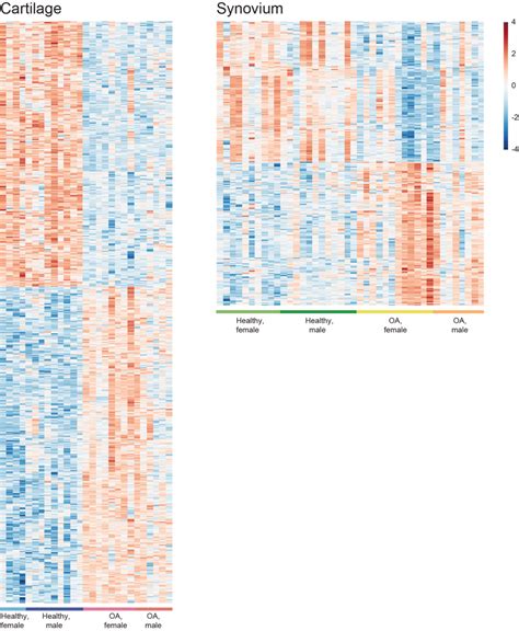 Heatmaps Visualize The Osteoarthritis OA Responsive Differential