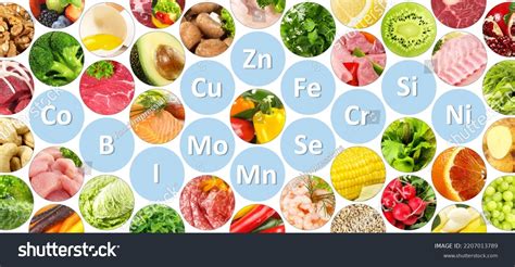 영양분 115010개가 넘는 로열티 프리 라이선스 대상 스톡 사진 Shutterstock