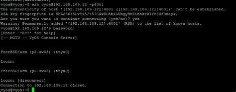 How To Use Vyos As A Console Server Protectli Knowledge Base