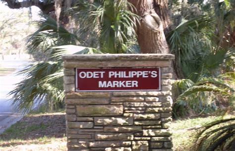 Philippe Park Odet Philippe Safety Harbor Fl Seesafetyharbor