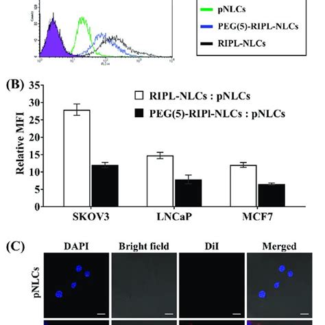 Cellular Uptake Of Dii Loaded Nlcs By The Skov3 Mcf7 And Lncap Cell