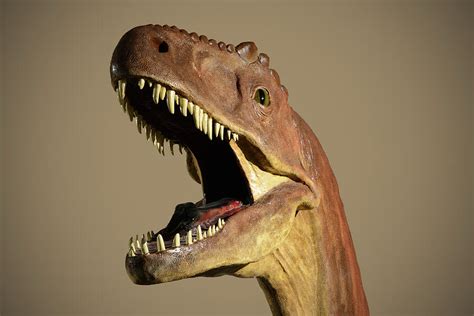 Allosaurus Fragilis Photograph By Ben Prepelka Pixels