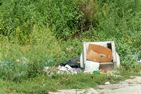 쓰레기와 정크 자연과 도시 공원 오염 숲 생태 재해 개념 근처 잔디에 쓰레기 덤프 0명에 대한 스톡 사진 및 기타 이미지 0명 가득 찬 개체 그룹 Istock