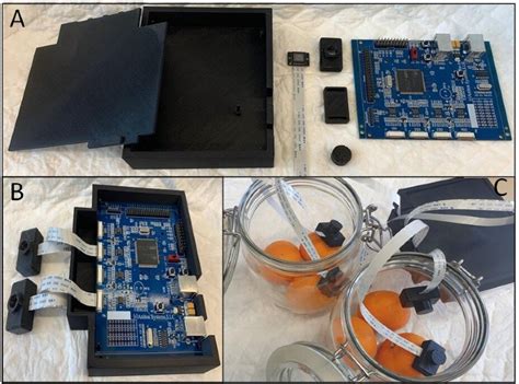A Sensor That Can ‘smell Researchers Developed New Biological Sensor To Detect Soft Rot In