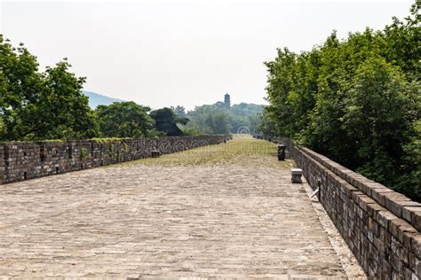 Tempio Di Nanchino Jiming Fiori Di Ciliegia In Piena Fioritura Come