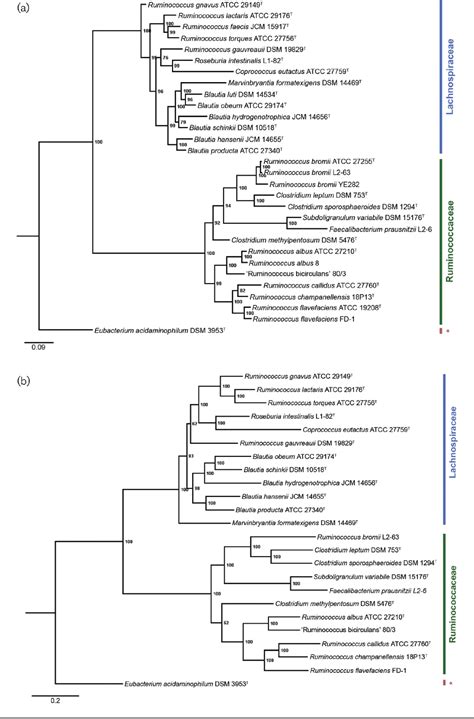 Figure 1 From Sequence Based Analysis Of The Genus Ruminococcus