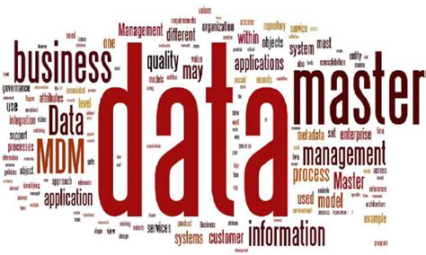 SAP Master Data The Smart Hands