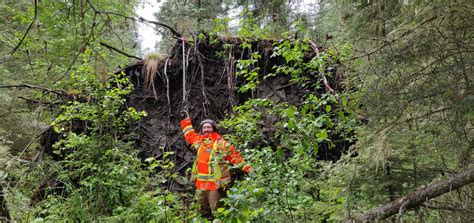 Forest Mensuration — Carson Integrated