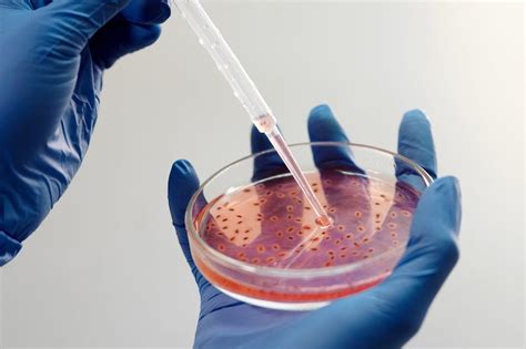 Microbial Testing Service Medical And Food Lab Co Ltd