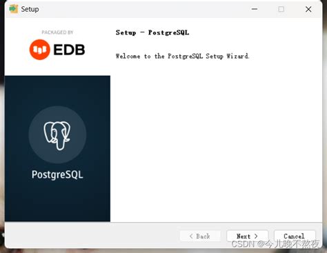 【postgresql在windows、linux和docker上的保姆级安装教程】windows Docker Postgresql Csdn博客
