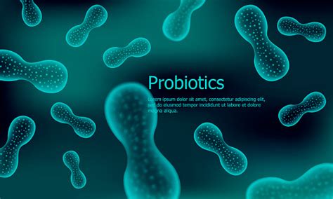 Probiotics 과학 배경 현미경 프로바이오틱스 좋은 세균식물 벡터 일러스트레이션 프로바이오틱에 대한 스톡 벡터 아트 및 기타 이미지 Istock
