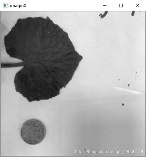 计算叶片面积的图像处理方法 Csdn博客