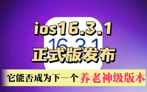 Ios16 3 1正式版发布，可以养老的神级版本？ 哔哩哔哩