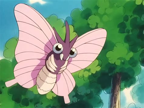 Venomoth Gs045 Pokémon Wiki Fandom