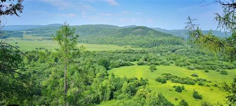 大兴安岭森林原始森林 大兴安岭森林 大山谷图库