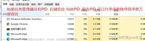 Idea 启动报错 Cannot Connect To Already Running Ide Instance Exception