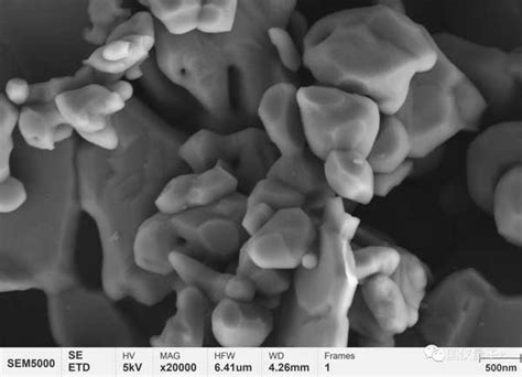 Sem5000 In Nano Alumina Scanning Electron Microscopy Sem