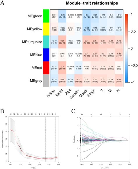 The Wgcna Analysis And The Lasso Cox Regression Model A The Download Scientific Diagram