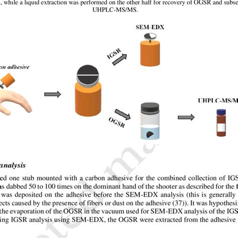 Schematic Representation Of The Sequential Analysis Protocol After