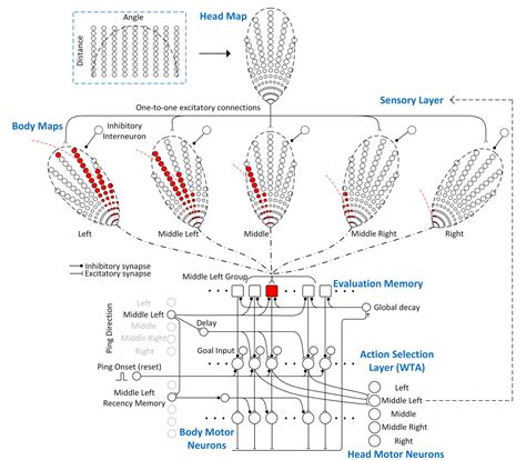 Figure 6 From The Curved Openspace Algorithm And A Spike Latency Model