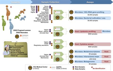 Cienciasmedicasnews The Integrative Human Microbiome Project Dynamic Analysis Of Microbiome