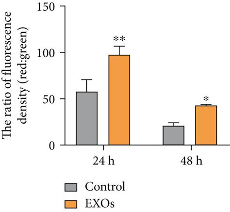 Hbmsc Exos Promote Cell Migration And Mitochondrial Function In Download Scientific Diagram