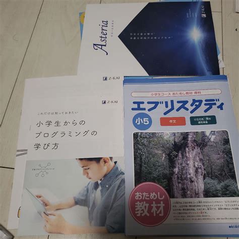 小5国語算数理科社会英語プログラミング適性検査 By メルカリ