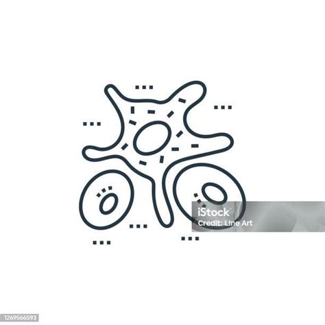 세포 장기 및 의료 대마초 개념에서 백혈구 아이콘 벡터 백혈구 편집 가능한 뇌졸중의 얇은 선 그림 웹 및 모바일 앱에서 사용하기 위한 백혈구 선형 기호 아이콘에 대한 스톡