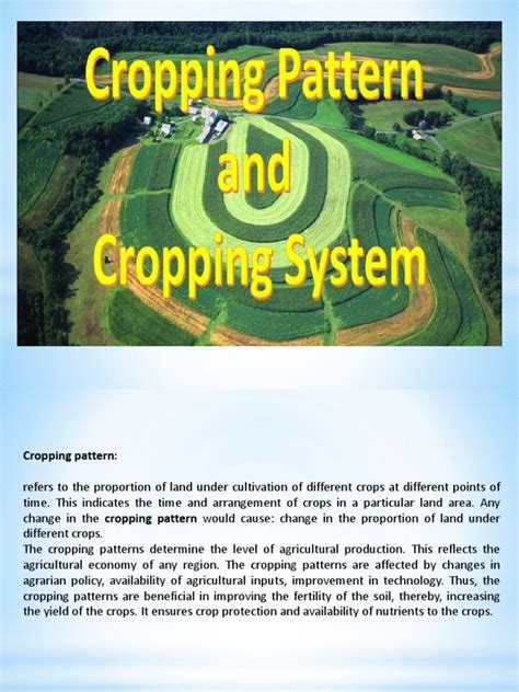 Cropping System And Cropping Pattern Pdf Crop Rotation Agriculture