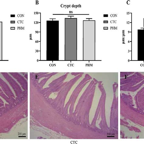 Effects Of Dietary Phm Supplementation On The Jejunum Morphology Of