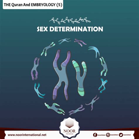 Work Against Gravity IslamIsScience