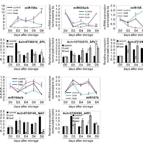Differential Expression Of Mirnas And Their Corresponding Targets In Download Scientific