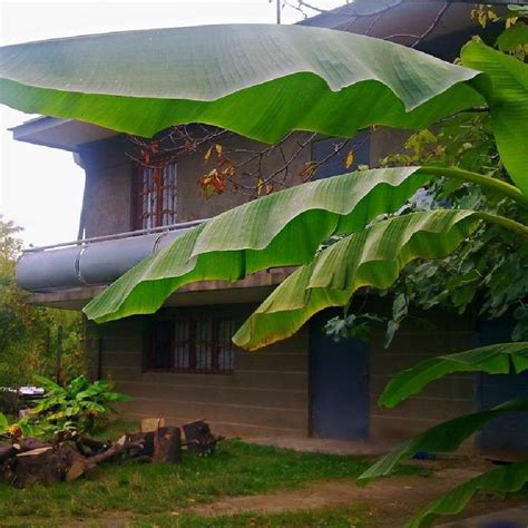 ფერმერის საოჯახო სახლი თელავში • Farmers Guest House In Telavi Telavi