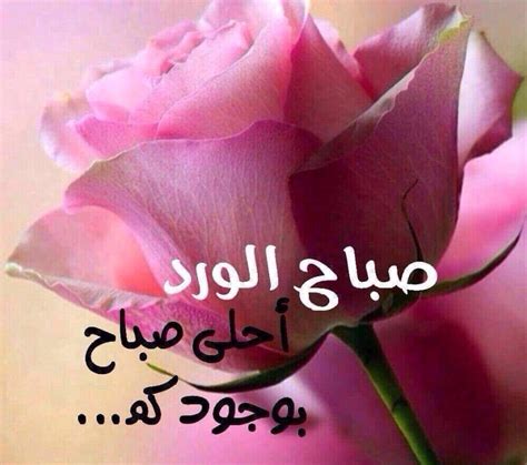 صباح الفل 20 رسالة صباحية للحبيب وللزوج راقية جداً