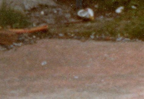 Solved Adjusting Image With FFT Filter Isn T Working Adobe Support Community