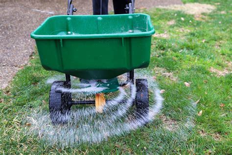 How To Fertilize Your Lawn In 10 Steps Fresh Water Systems