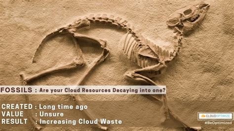 Cloudoptimize From Cloudaccel Inc On Linkedin Homepage