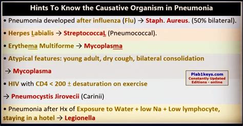 Plab 1 Keys • Exam Oriented Notes High Yield Coloured