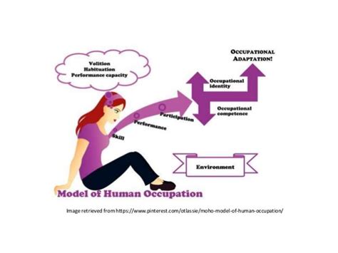 Occupational Therapy Assessment Moho