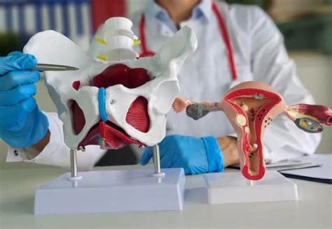 Hormonal Treatment For Adenomyosis Options To Manage Symptoms