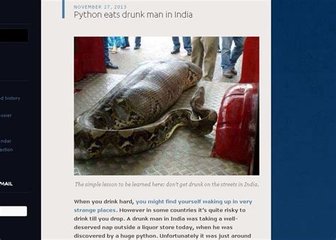 ‘python Eats Drunk Man In India Is A Hoax But Goes Viral Anyway The Epoch Times