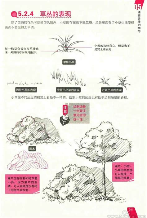 How To Draw Trees And Shrubs